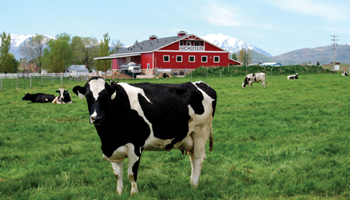 Tips on Hosting a Farm Tour