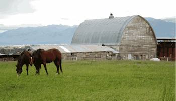 From Wheat to Flour--A Kitchen Staple