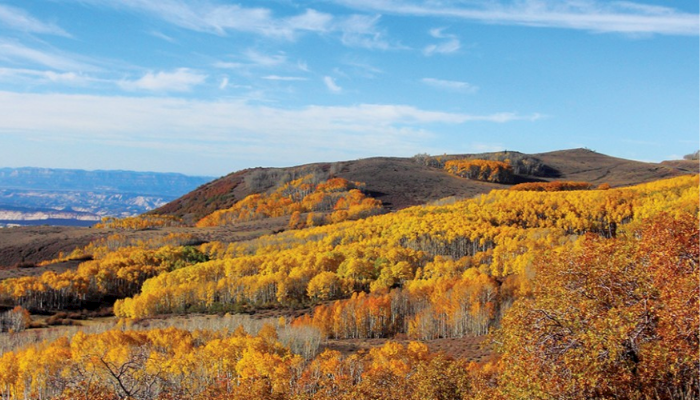 Garfield County Farm Bureau
