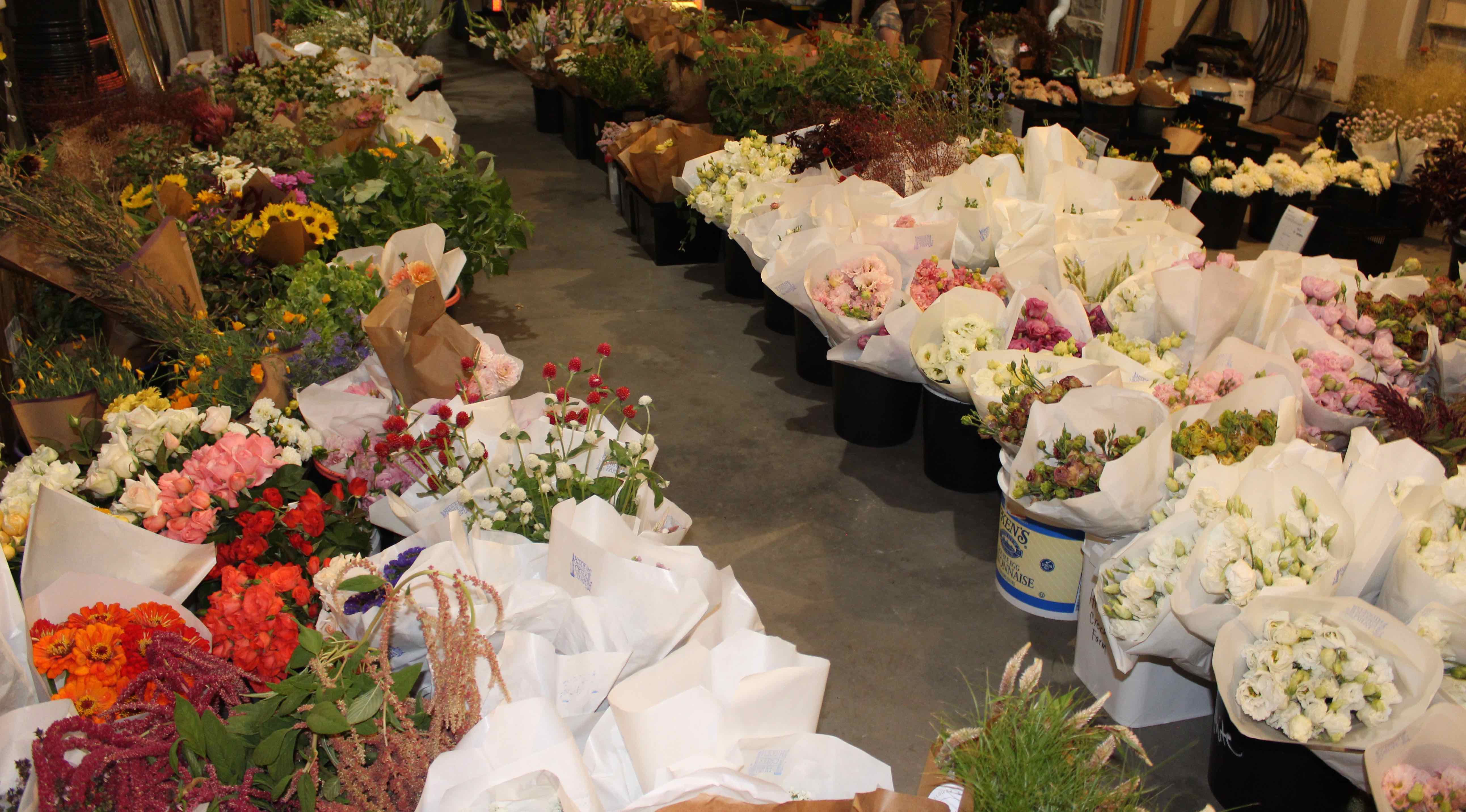 Utah Flower Farming in Full Bloom