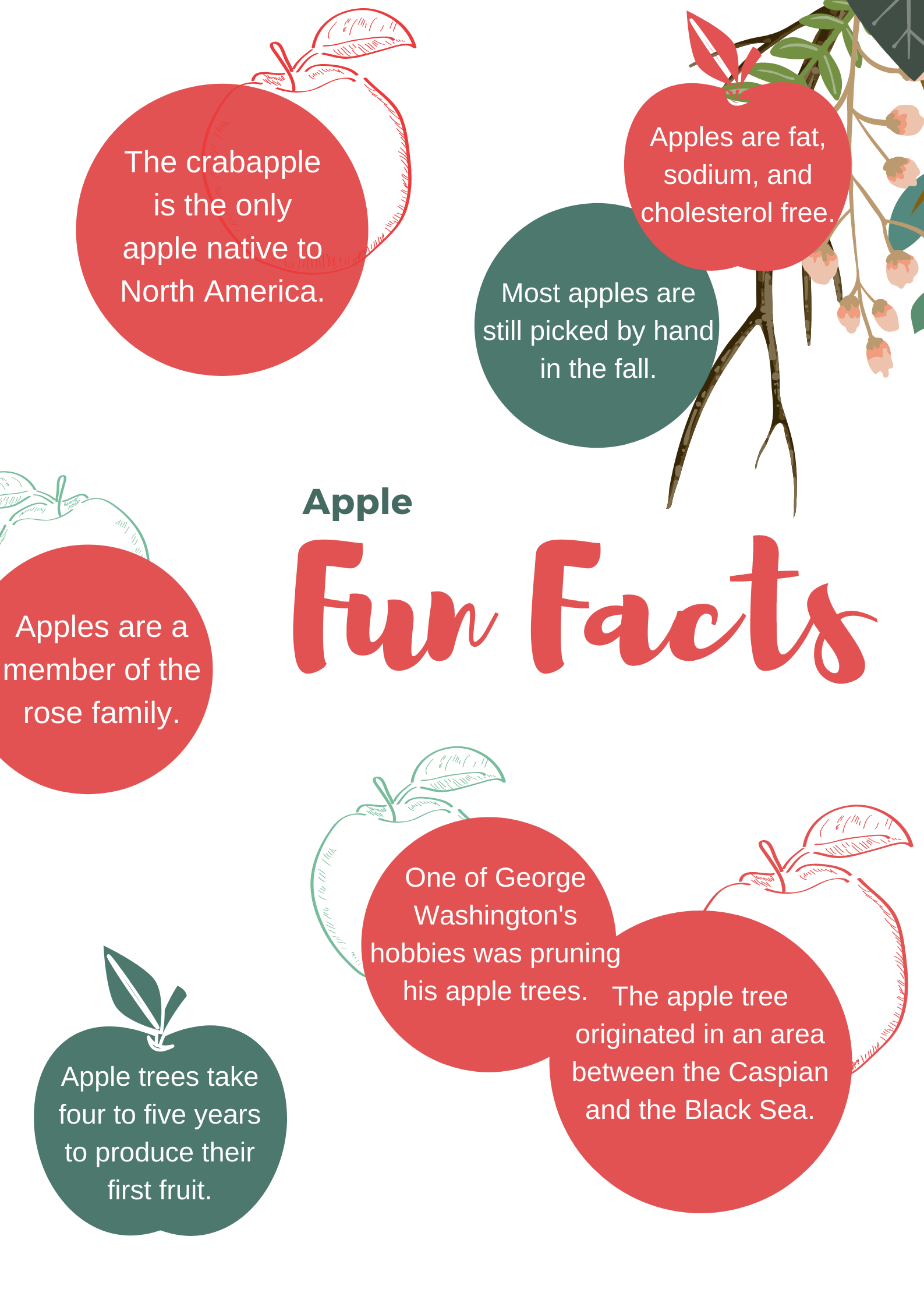 All About Apples