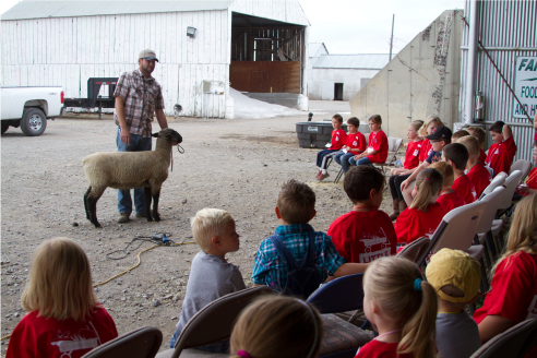 What We Do and Why We Do It