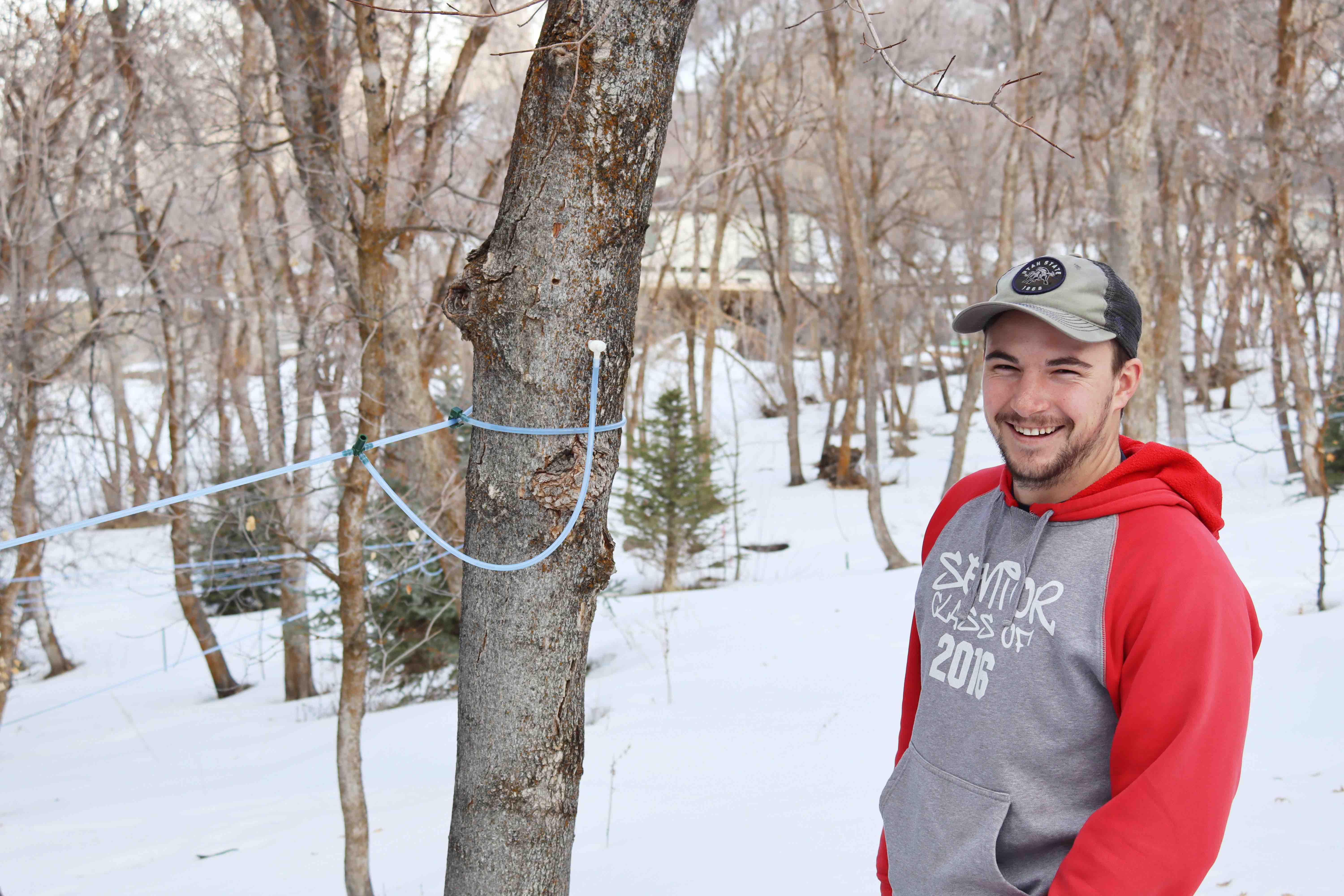 From Tree to Table: Tapping Into the Sweet Potential of Utah Syrup
