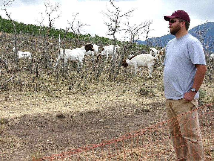 Utah’s National Guard & Agriculture Working Hand-in-Hand to Provide ...