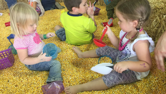 Corn Pit